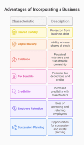 Corporation Advantages and Disadvantages | Pros & Cons Guide