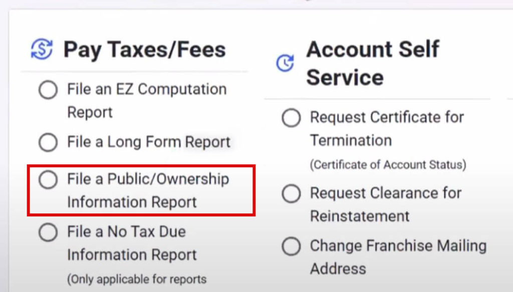 Texas Public Information Report: Deadline, WebFile Steps